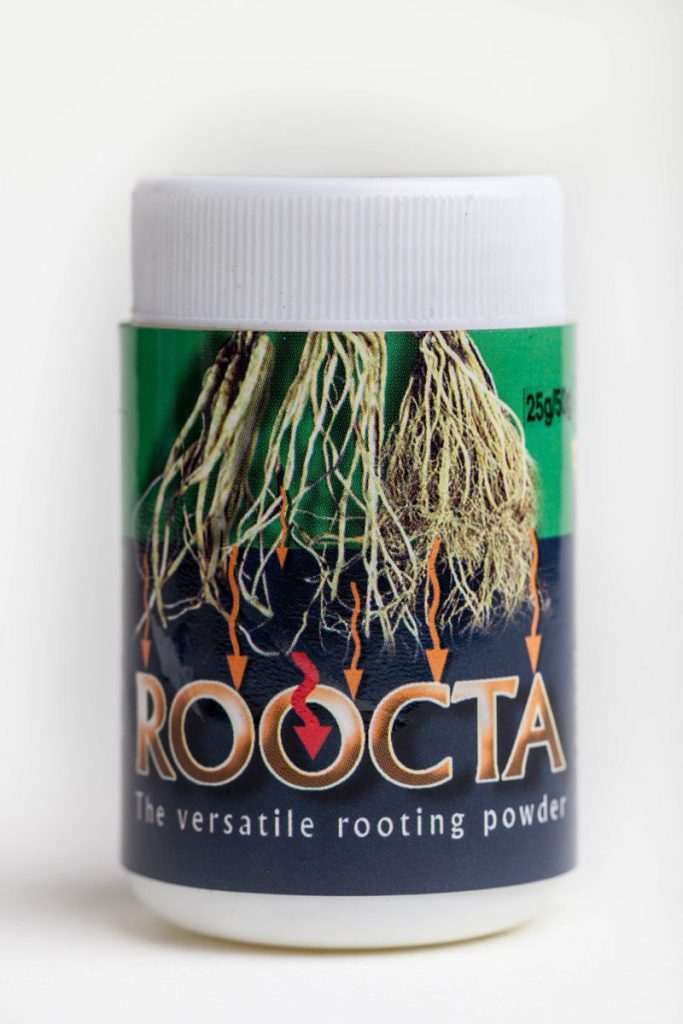 Roocta – Oasis Marketing